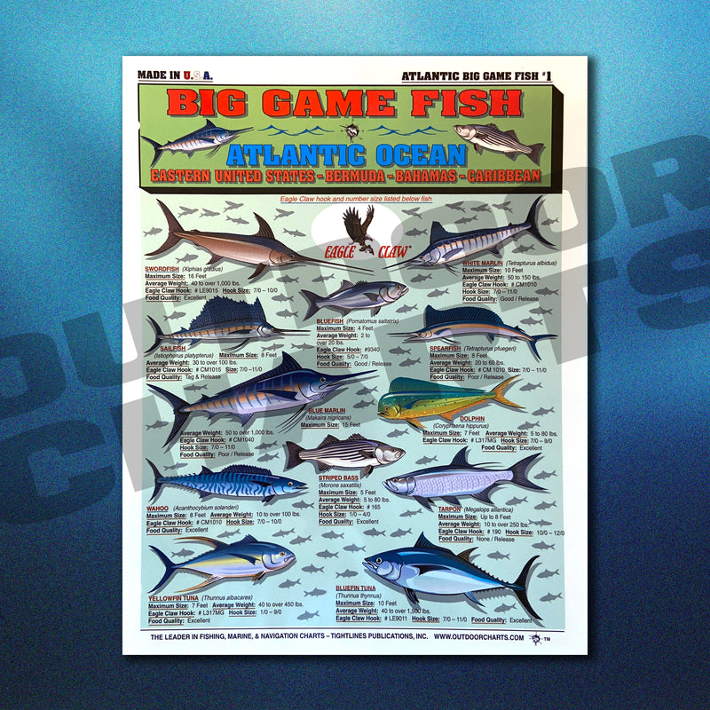 Atlantic Ocean Big Game Fish Identification #1 - Waterproof Quick Refe ...