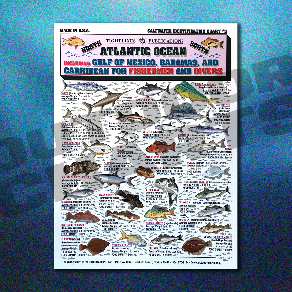 Atlantic Ocean Saltwater Identification Chart #5 - Waterproof Quick Re ...