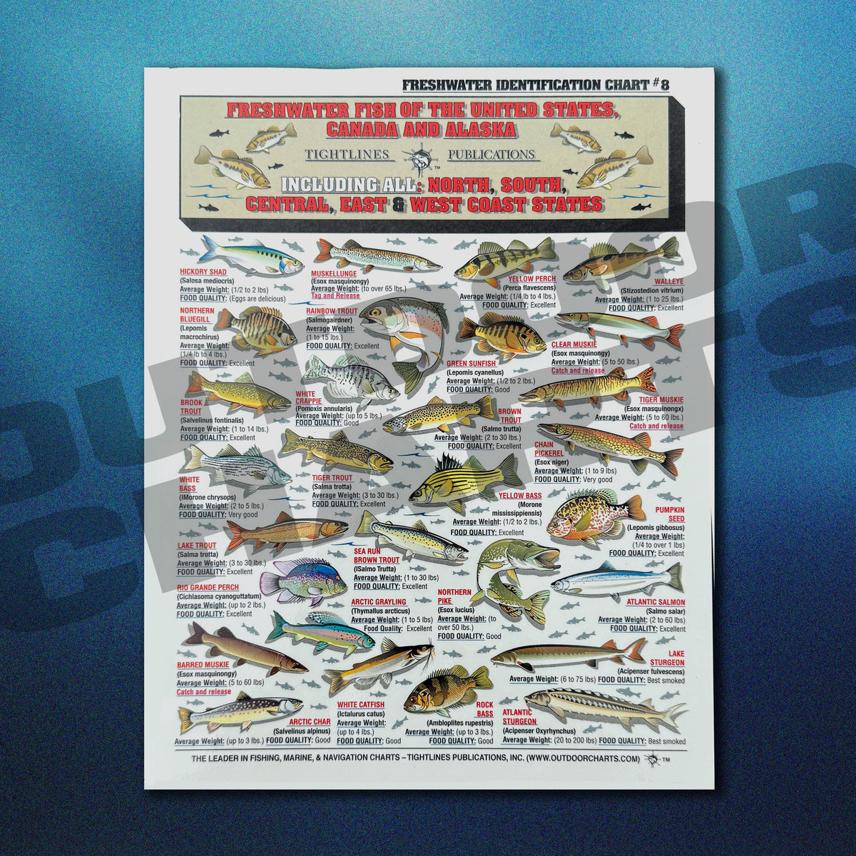 Freshwater Fish Identification Chart #8 (US, Canada, and Alaska) - Wat ...