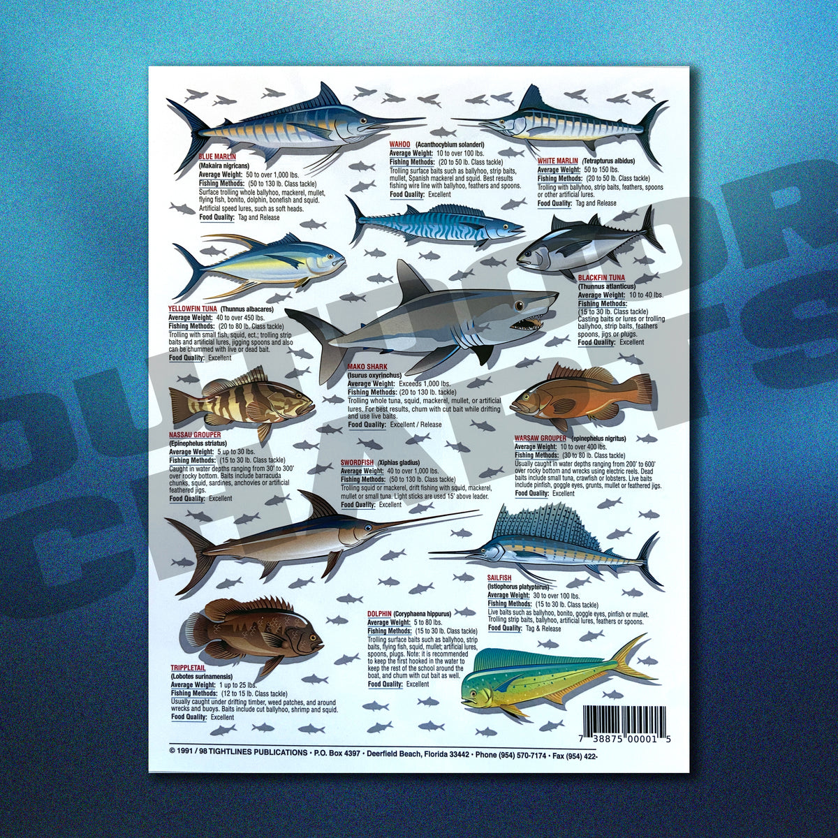 How to Catch 'Em Saltwater Fish Identification #1 - Waterproof Quick R ...