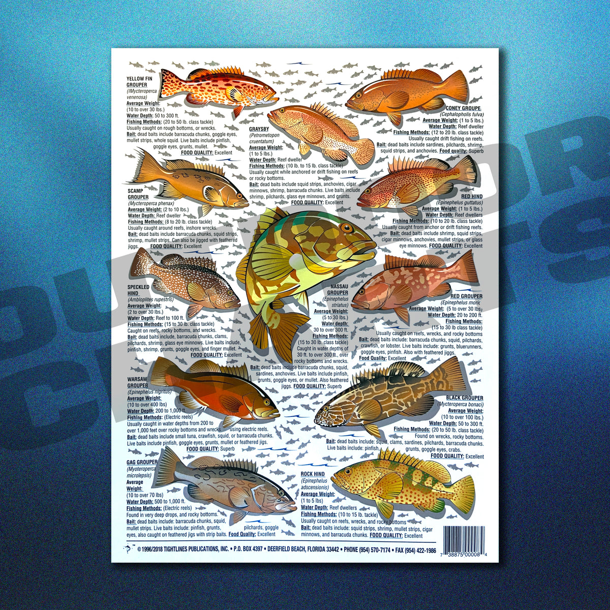 How to Catch'Em Saltwater Fish Identification #6 (Snappers, Porgies ...