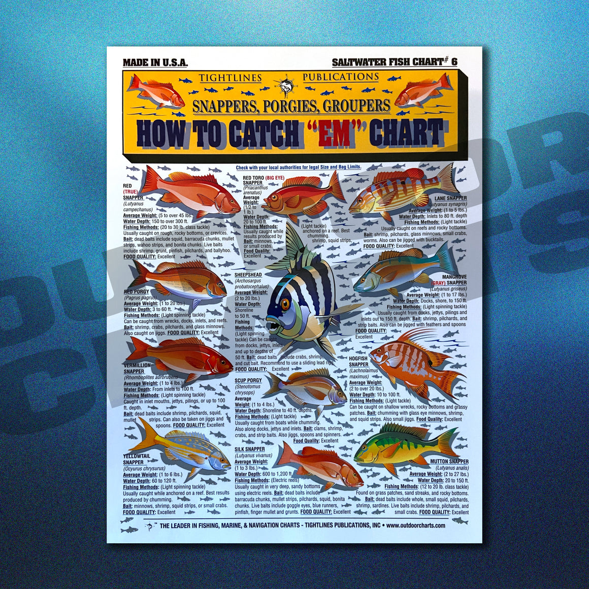Saltwater Fishing Charts – Outdoor Charts