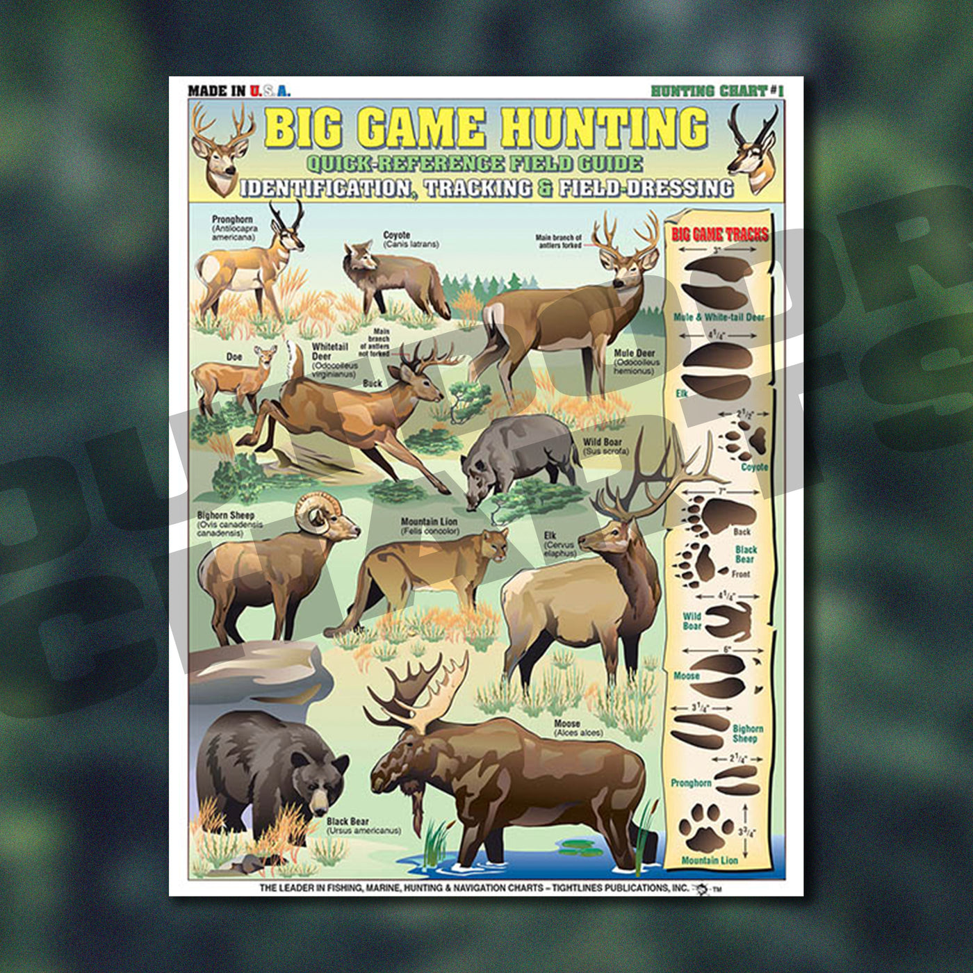 Big Game Hunting Identification Chart #1 - Waterproof Quick Reference ...
