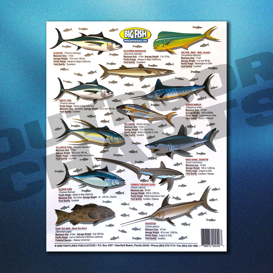 Saltwater Fishing Charts – Outdoor Charts