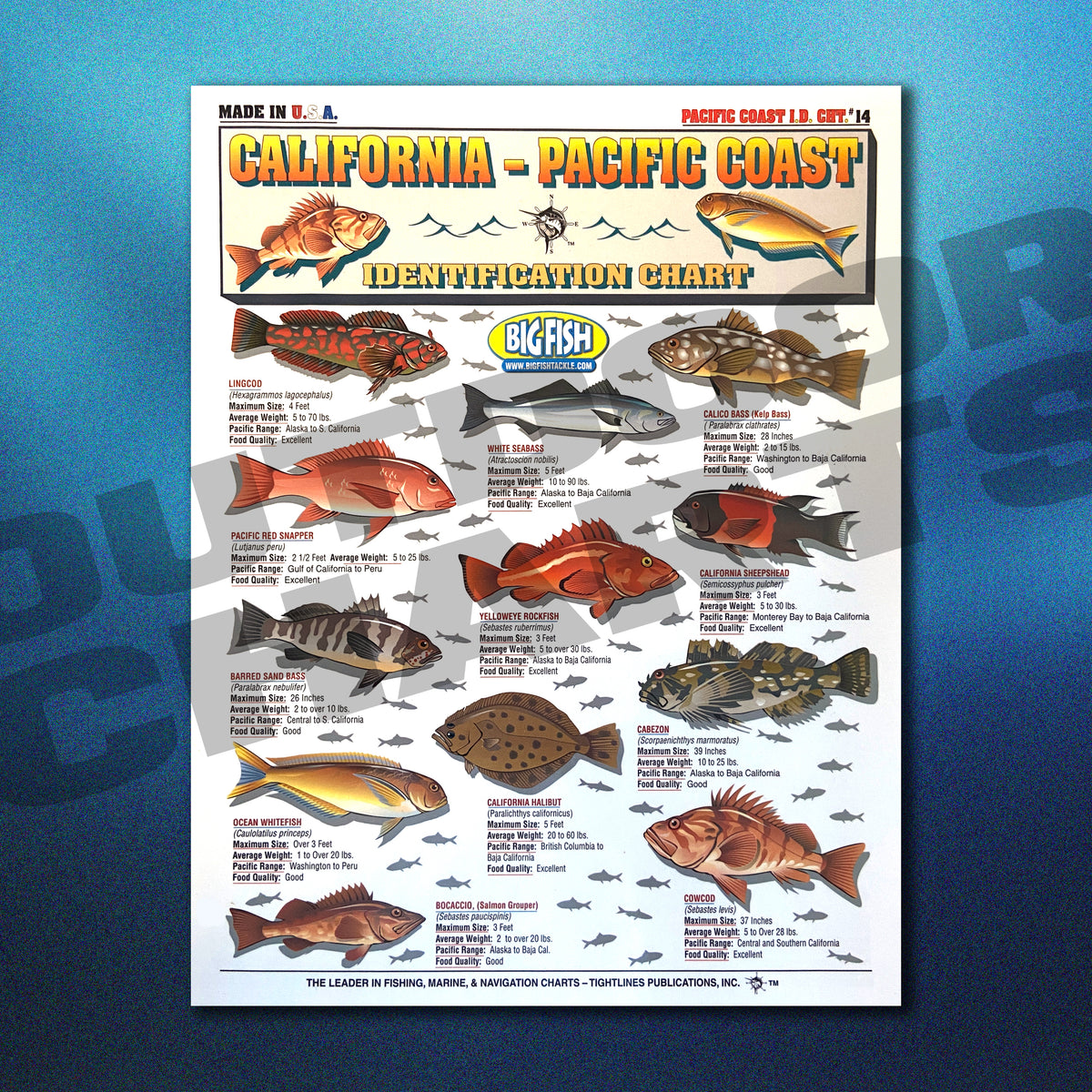 California to Pacific Coast Fish Identification #15 - Waterproof Quick ...
