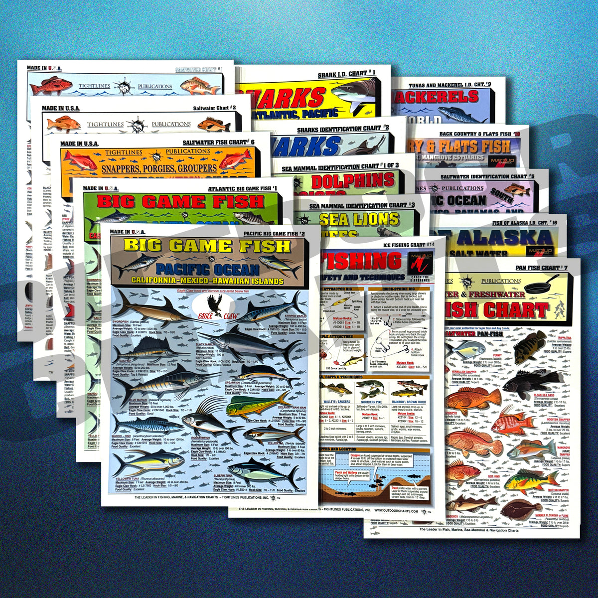 Saltwater Chart Set – Outdoor Charts