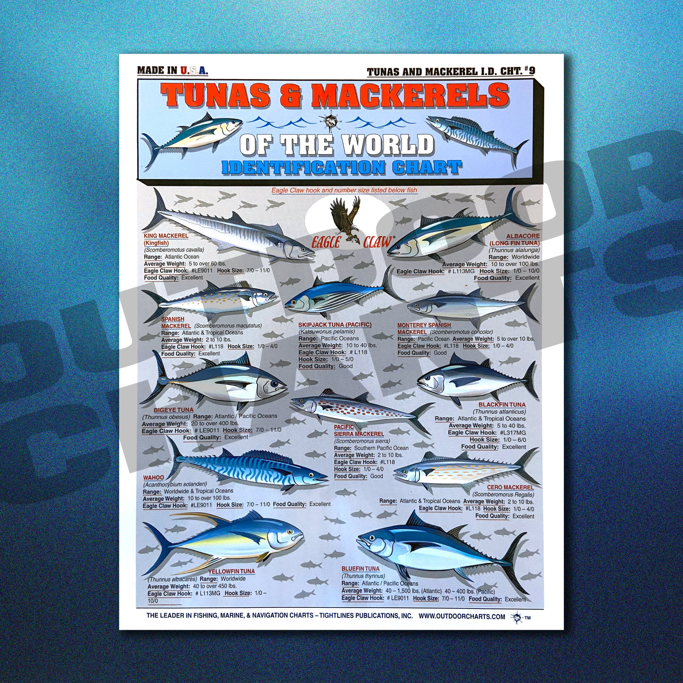 Tunas & Mackerels of the World Identification Chart #9 – Outdoor Charts