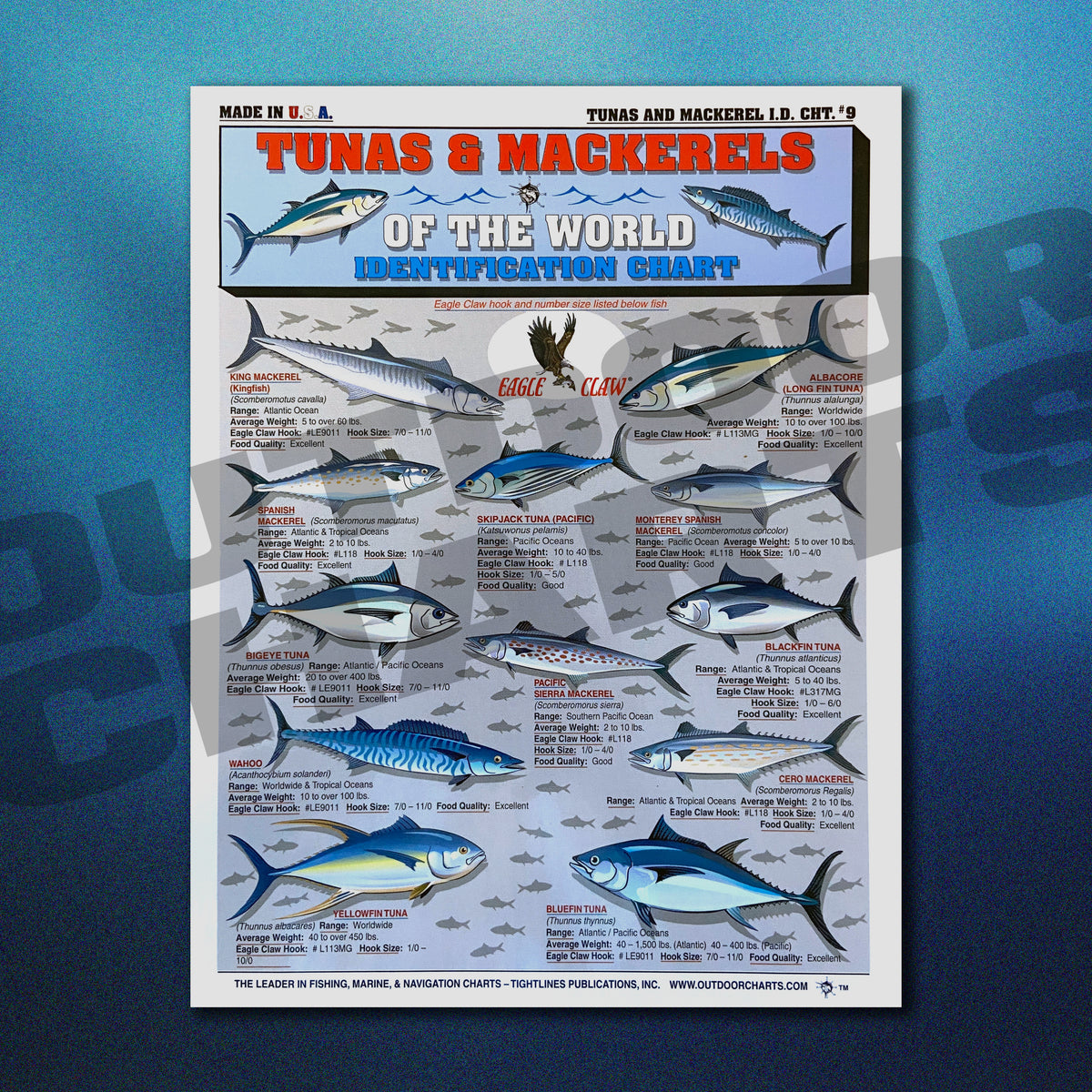 Tunas & Mackerels of The World Fish Identification #9 - Waterproof Qui ...