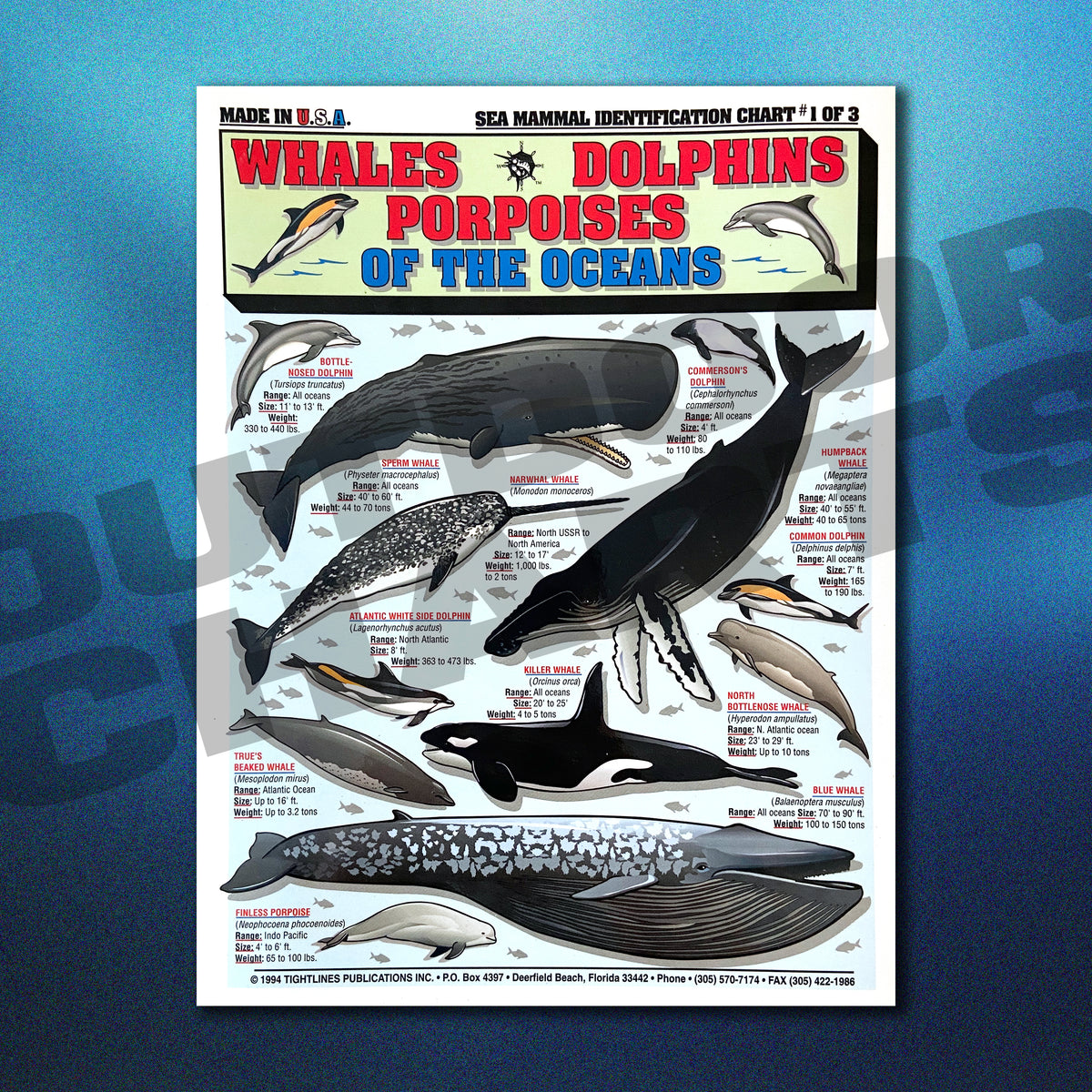 Sea Mammal Identification #1 (Whales, Dolphins, and Porpoises) - Water – Outdoor Charts